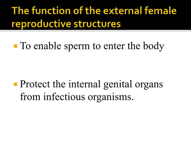 Anatomy and physiology of female reproductive system | PPTX ...