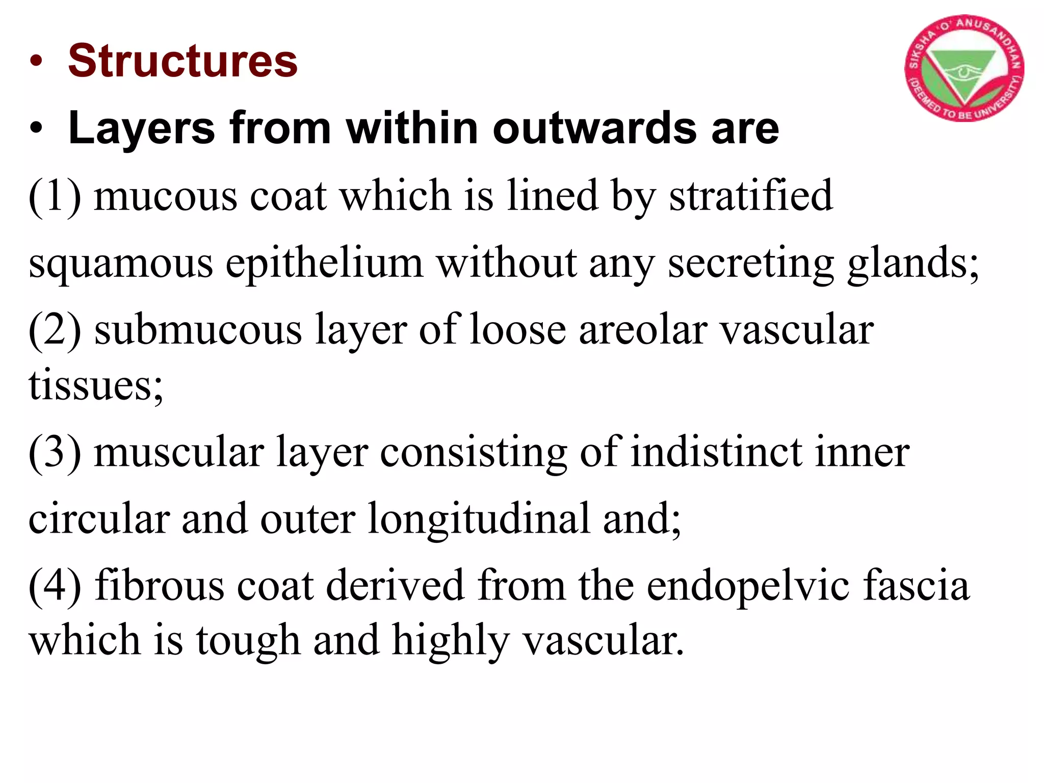 Anatomy and physiology of female reproductive system | PPTX