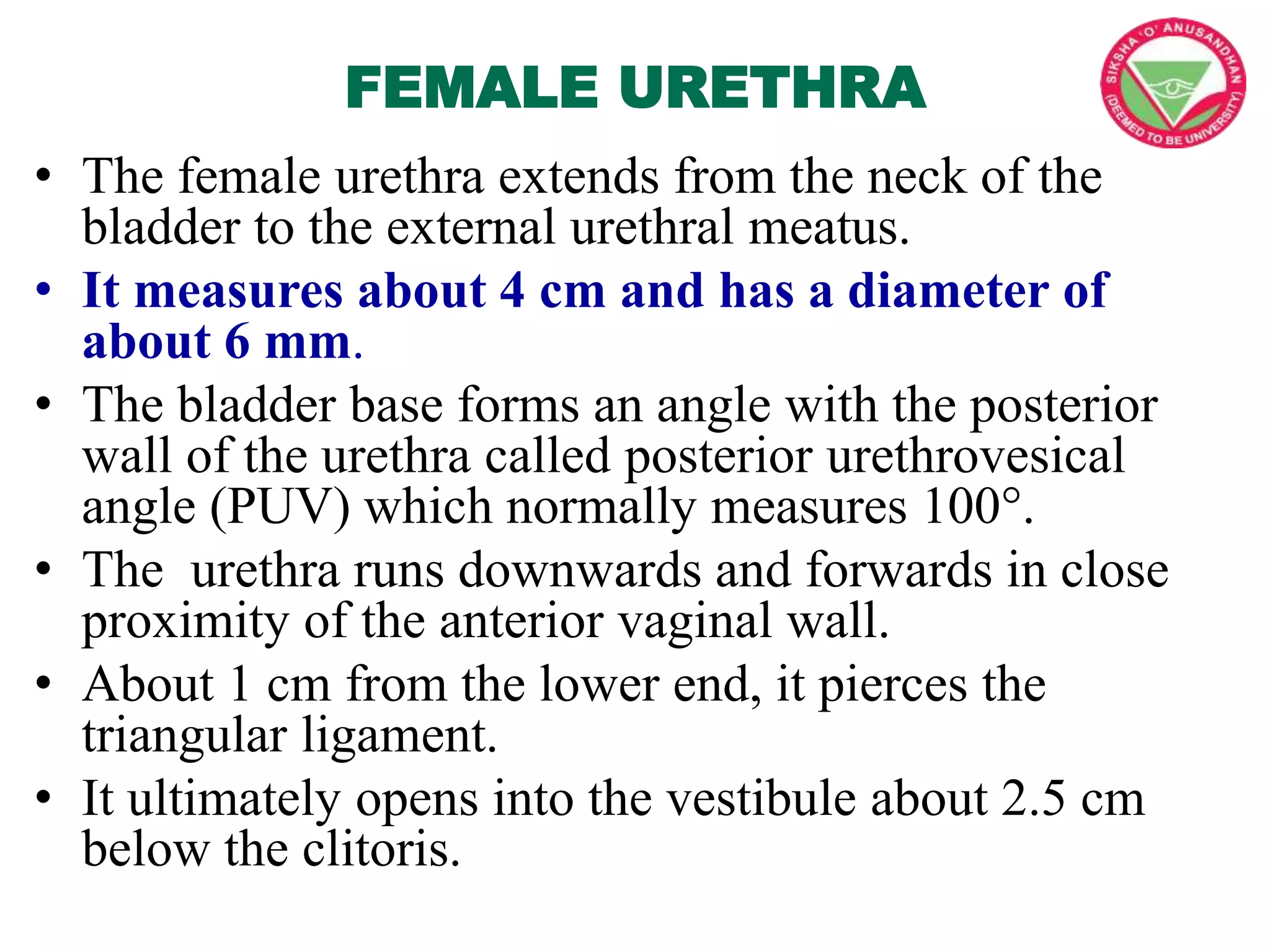 Anatomy and physiology of female reproductive system | PPTX