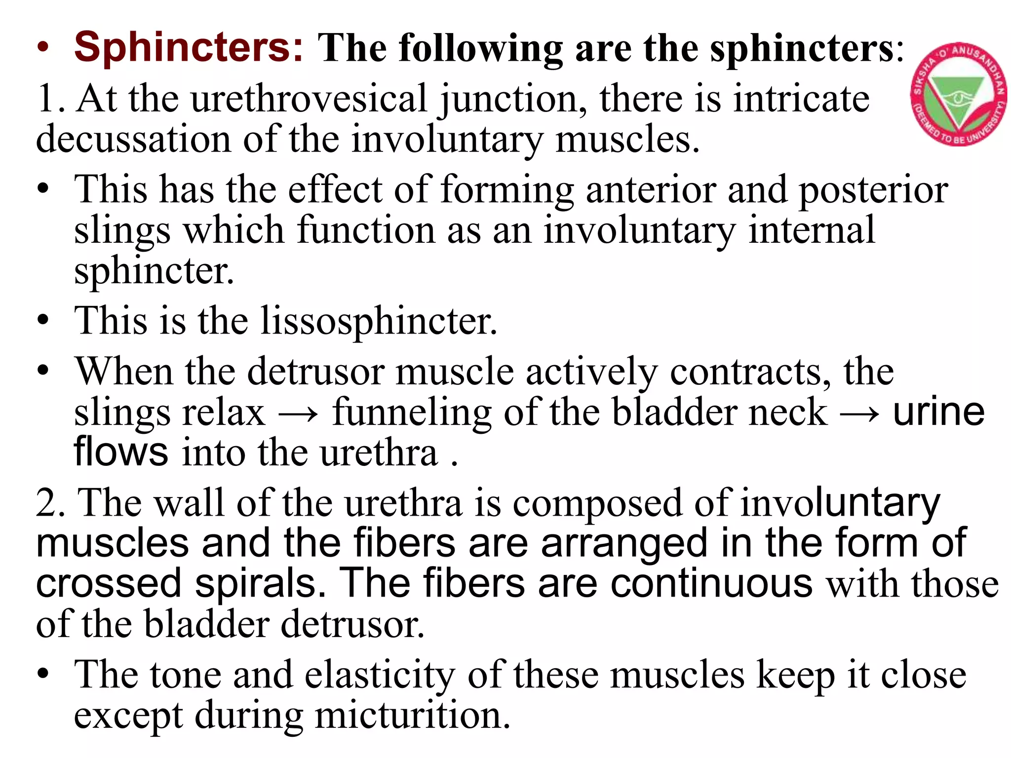 Anatomy and physiology of female reproductive system | PPTX