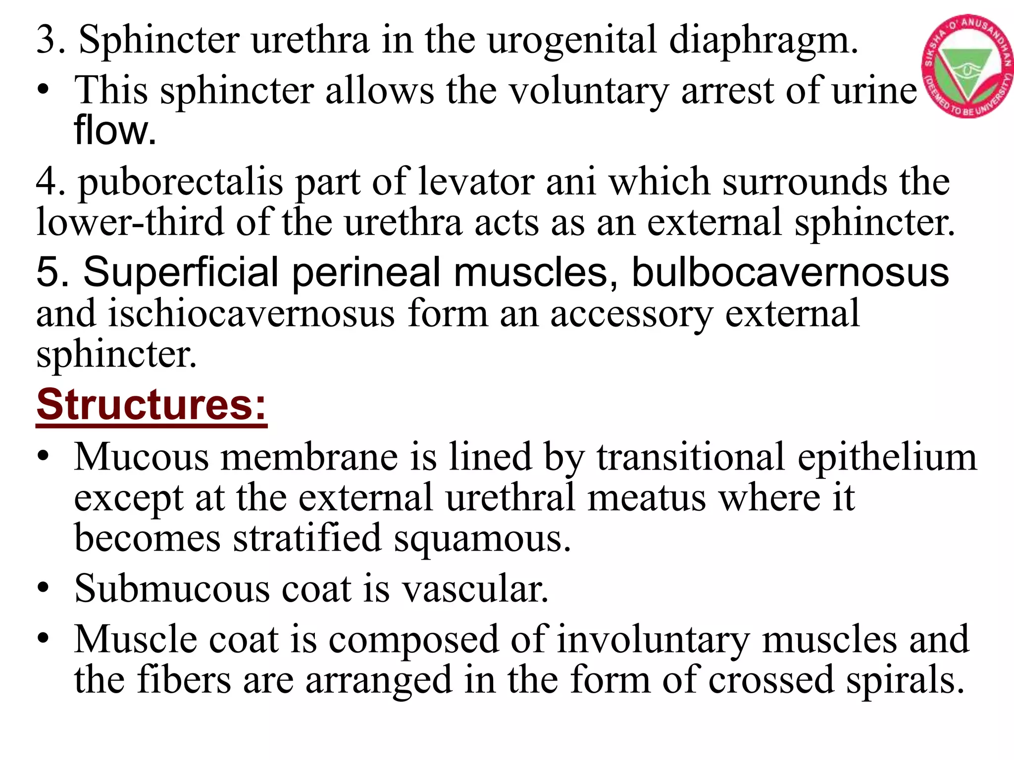 Anatomy and physiology of female reproductive system | PPTX