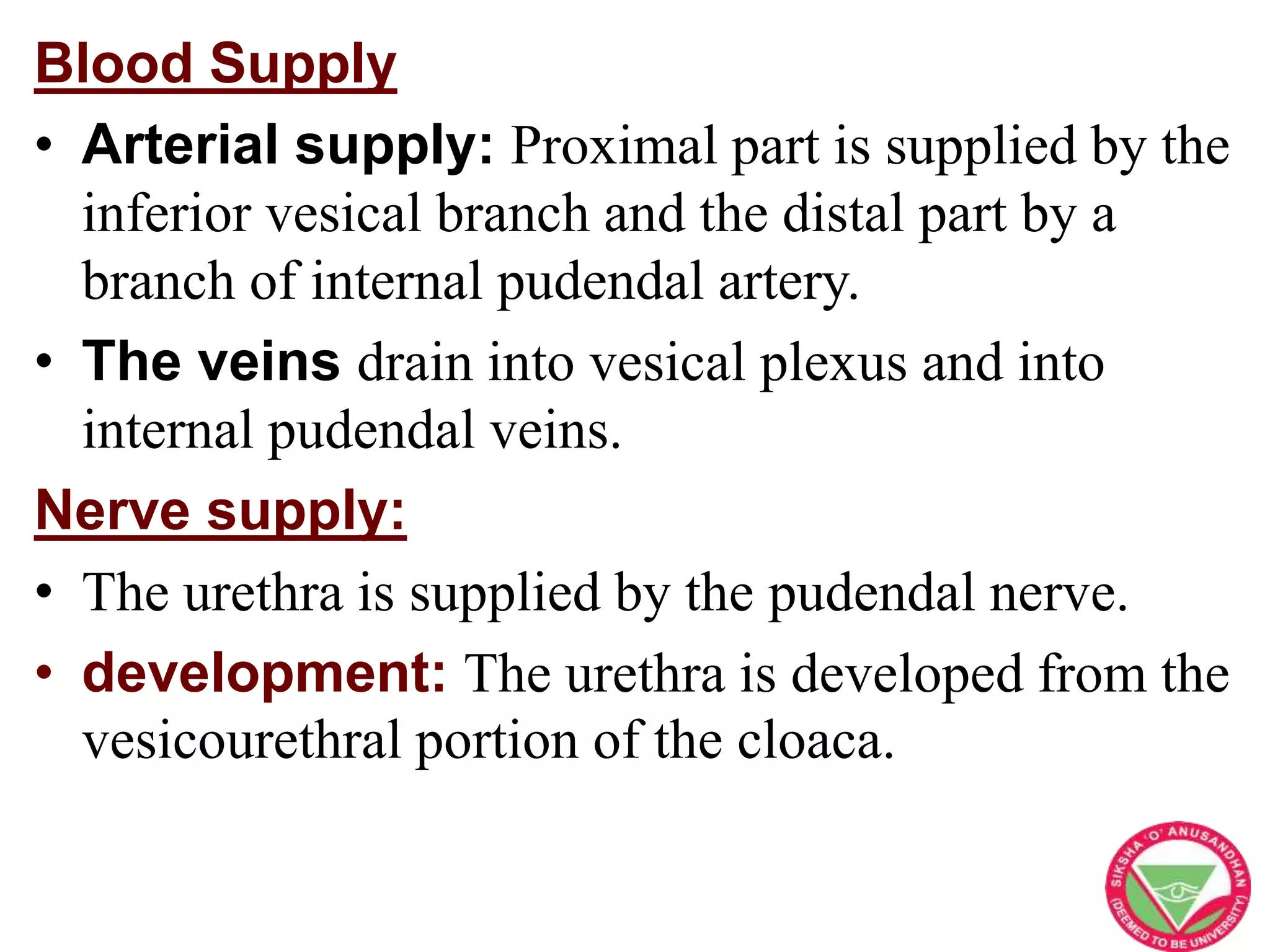 Anatomy and physiology of female reproductive system | PPTX