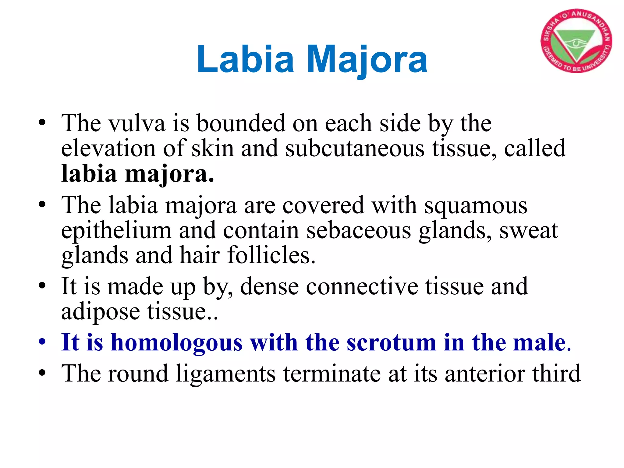 Anatomy and physiology of female reproductive system | PPTX