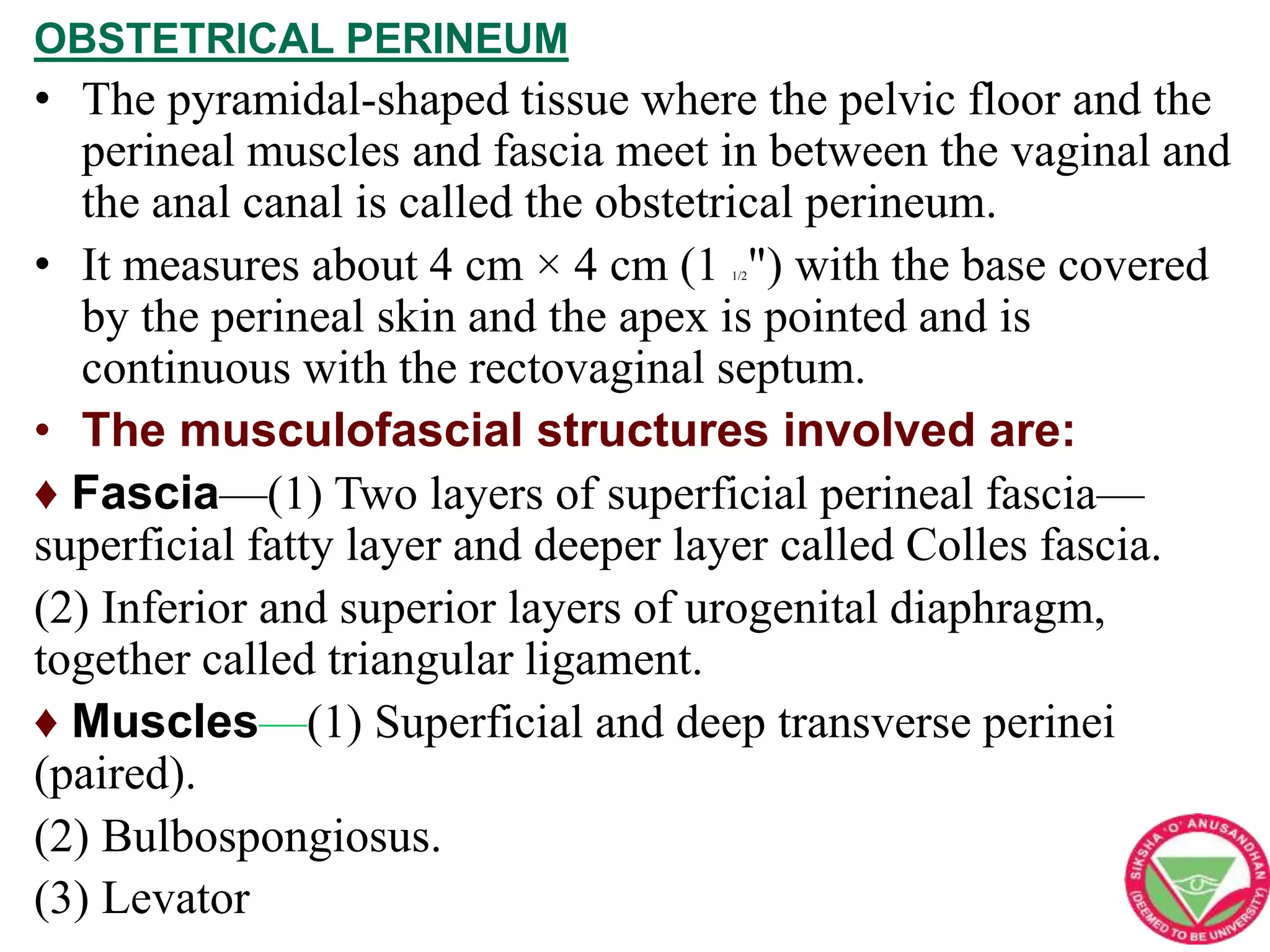 Anatomy and physiology of female reproductive system | PPTX