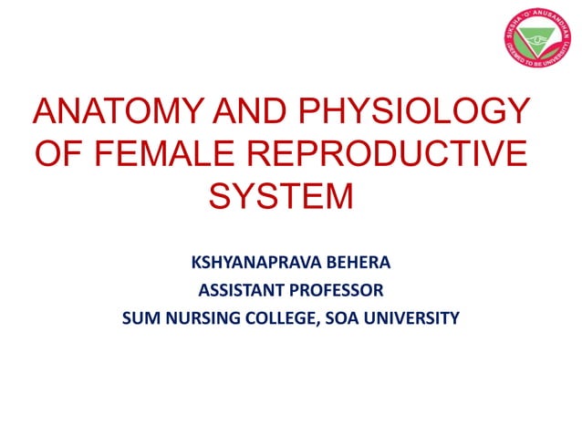 Anatomy and physiology of female reproductive system | PPTX | Pregnancy ...