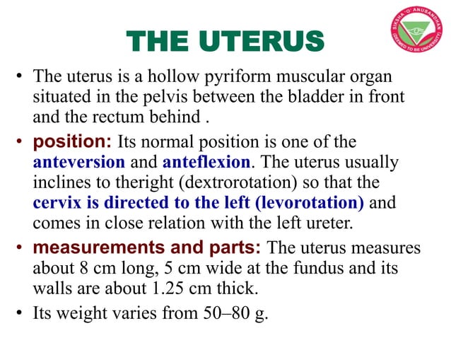Anatomy and physiology of female reproductive system | PPTX | Pregnancy ...