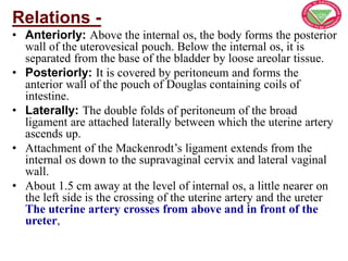 Anatomy and physiology of female reproductive system | PPTX