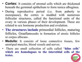 Anatomy and physiology of female reproductive system | PPTX