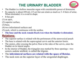 Anatomy and physiology of female reproductive system | PPTX