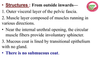 Anatomy and physiology of female reproductive system | PPTX