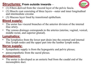 Anatomy and physiology of female reproductive system | PPTX
