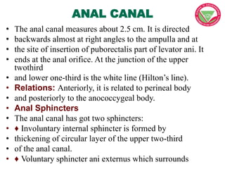 Anatomy and physiology of female reproductive system | PPTX