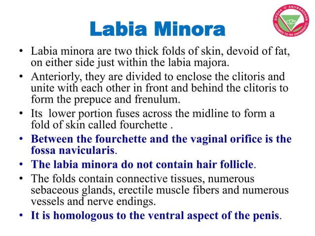 Anatomy and physiology of female reproductive system | PPTX | Pregnancy ...