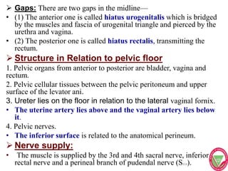 Anatomy and physiology of female reproductive system | PPTX