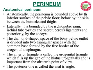 Anatomy and physiology of female reproductive system | PPTX