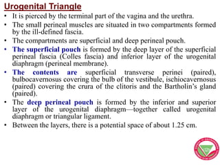 Anatomy and physiology of female reproductive system | PPTX