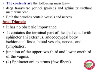 Anatomy and physiology of female reproductive system | PPTX