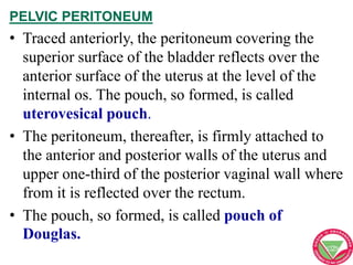 Anatomy and physiology of female reproductive system | PPTX