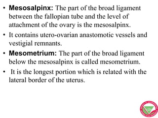 Anatomy and physiology of female reproductive system | PPTX