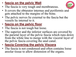 Anatomy and physiology of female reproductive system | PPTX