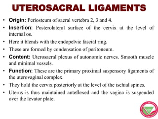 Anatomy and physiology of female reproductive system | PPTX