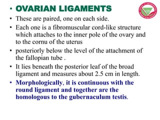 Anatomy and physiology of female reproductive system | PPTX