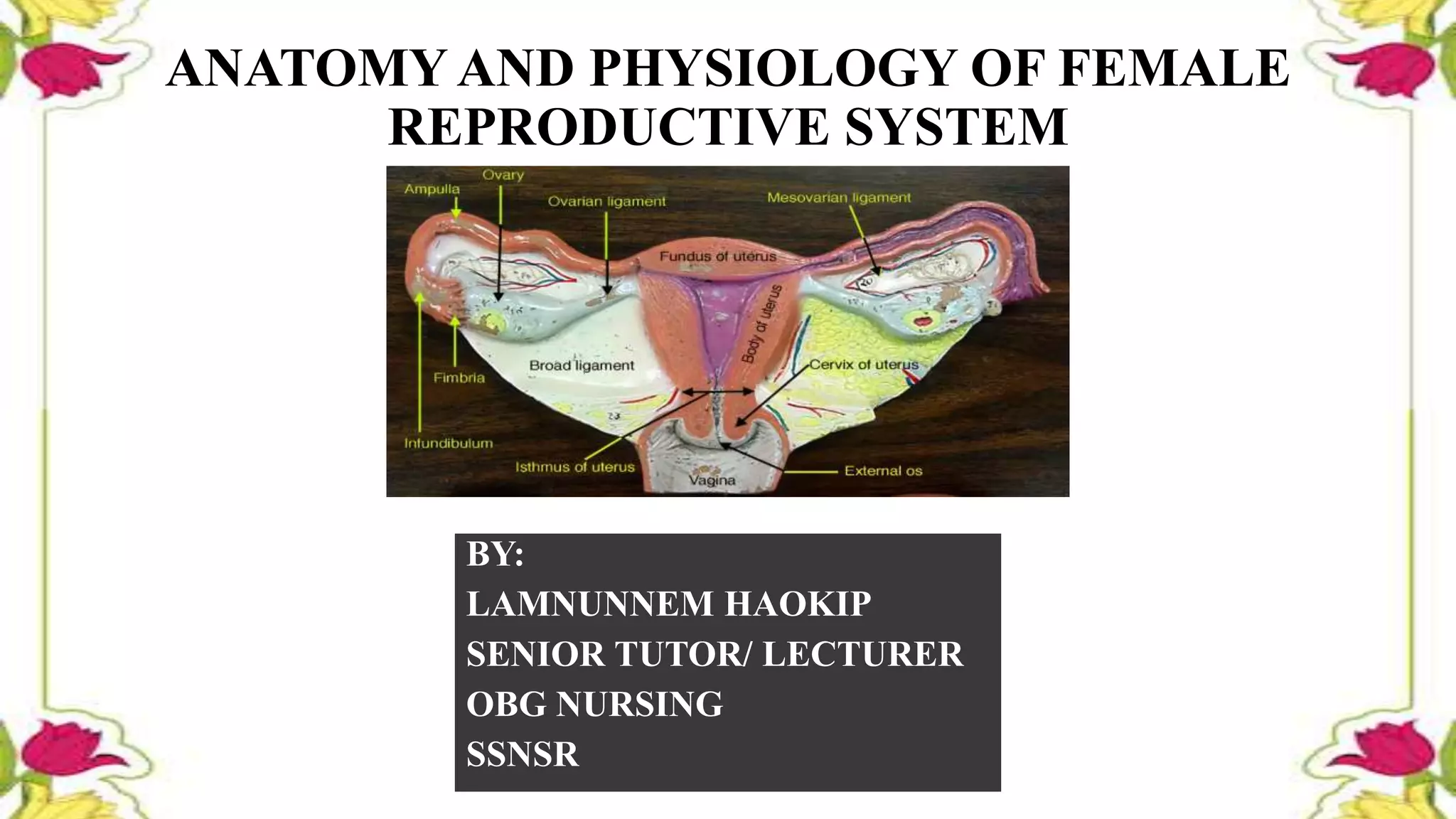 ANATOMY AND PHYSIOLOGY OF FEMALE REPRODUCTIVE SYSTEM.pptx