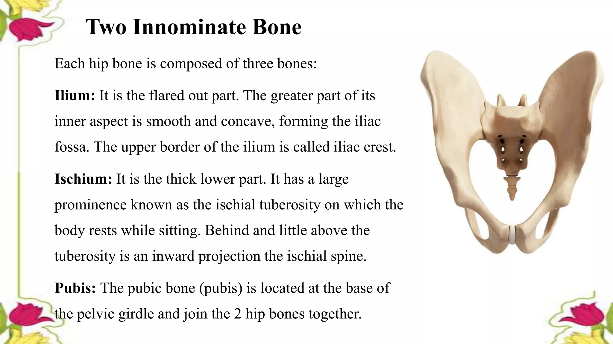 ANATOMY AND PHYSIOLOGY OF FEMALE REPRODUCTIVE SYSTEM.pptx