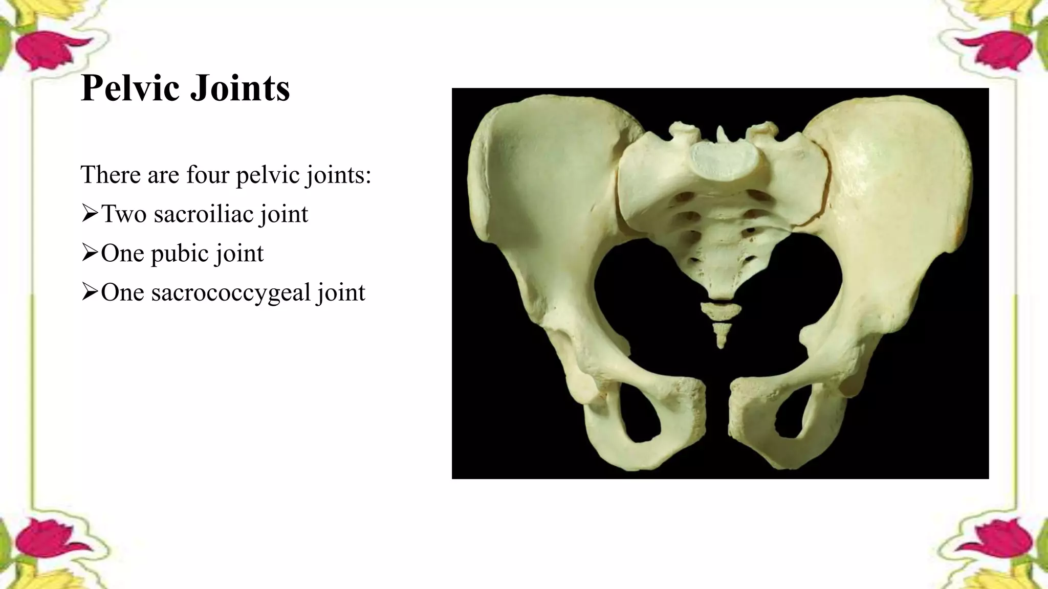 ANATOMY AND PHYSIOLOGY OF FEMALE REPRODUCTIVE SYSTEM.pptx