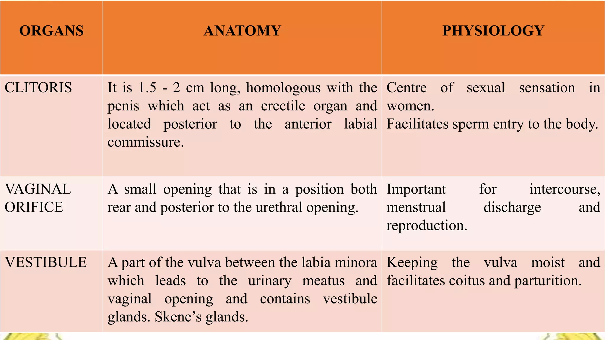 ANATOMY AND PHYSIOLOGY OF FEMALE REPRODUCTIVE SYSTEM.pptx
