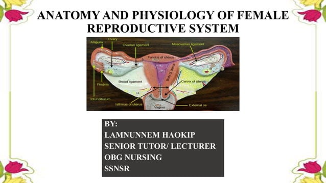 ANATOMY AND PHYSIOLOGY OF FEMALE REPRODUCTIVE SYSTEM.pptx