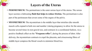 ANATOMY AND PHYSIOLOGY OF FEMALE REPRODUCTIVE SYSTEM.pptx