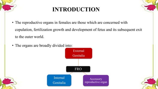 ANATOMY AND PHYSIOLOGY OF FEMALE REPRODUCTIVE SYSTEM.pptx