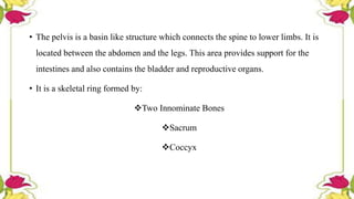 ANATOMY AND PHYSIOLOGY OF FEMALE REPRODUCTIVE SYSTEM.pptx