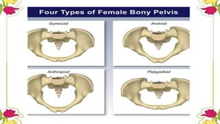 ANATOMY AND PHYSIOLOGY OF FEMALE REPRODUCTIVE SYSTEM.pptx
