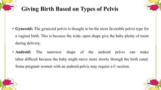 ANATOMY AND PHYSIOLOGY OF FEMALE REPRODUCTIVE SYSTEM.pptx