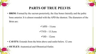 ANATOMY AND PHYSIOLOGY OF FEMALE REPRODUCTIVE SYSTEM.pptx