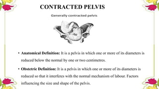 ANATOMY AND PHYSIOLOGY OF FEMALE REPRODUCTIVE SYSTEM.pptx