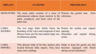 ANATOMY AND PHYSIOLOGY OF FEMALE REPRODUCTIVE SYSTEM.pptx