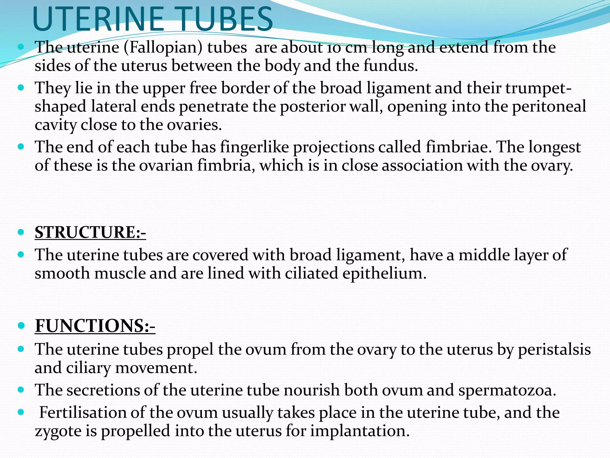 ANATOMY AND PHYSIOLOGY OF FEMALE REPRODUCTIVE SYSTEM.pptx