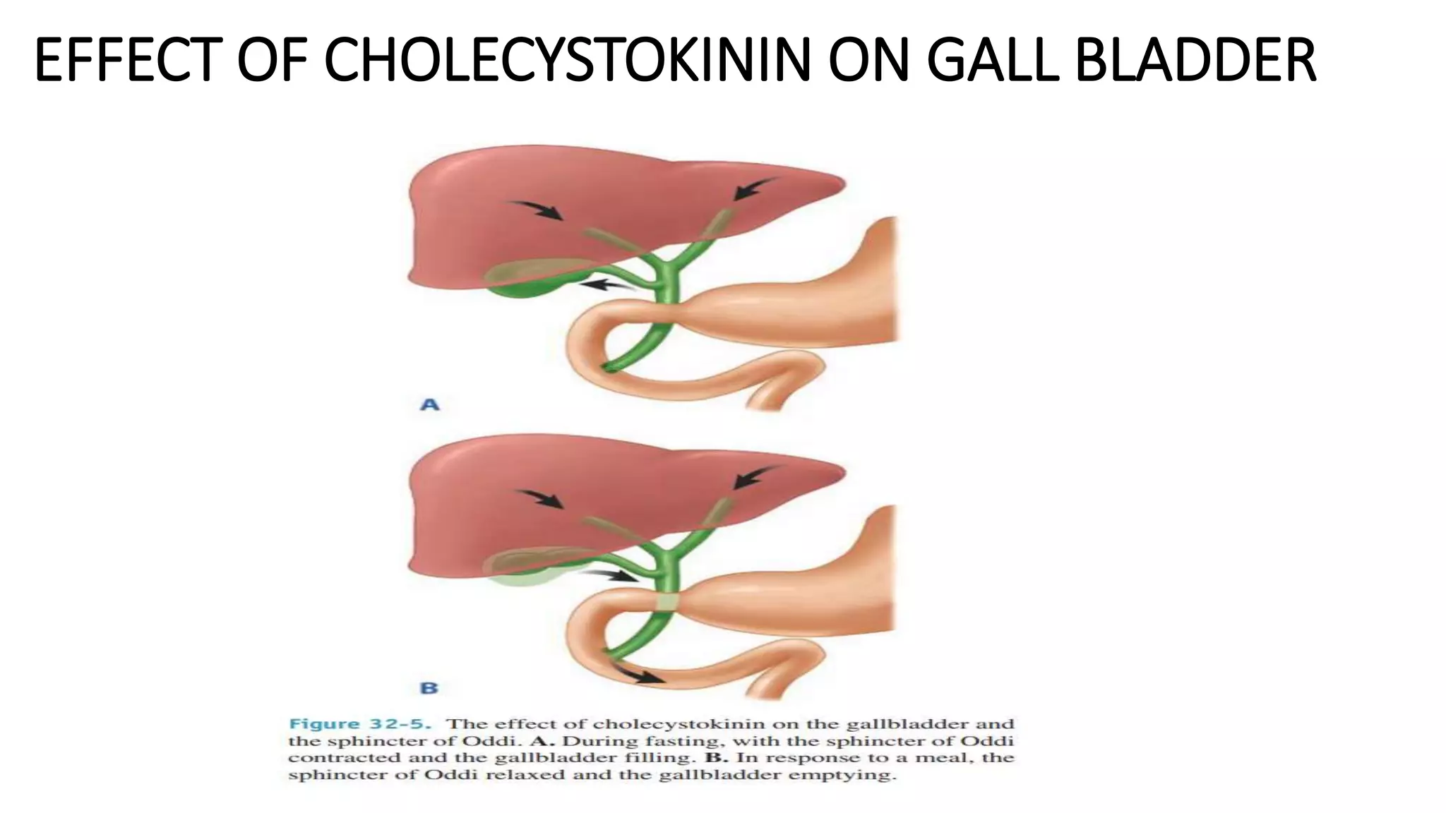 Anatomy and physiology of gall bladder | PPTX