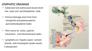 Anatomy and physiology of gall bladder | PPTX