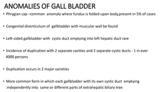 Anatomy and physiology of gall bladder | PPTX