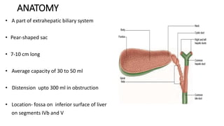 Anatomy and physiology of gall bladder | PPTX
