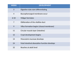 LESSON PLAN ON ANATOMY AND PHYSIOLOGY OF GASTROINTESTINAL SYSTEM.pptx