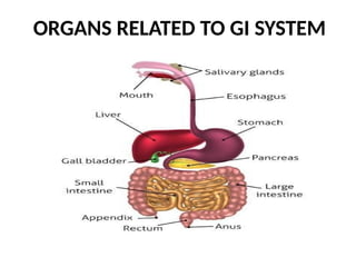 LESSON PLAN ON ANATOMY AND PHYSIOLOGY OF GASTROINTESTINAL SYSTEM.pptx