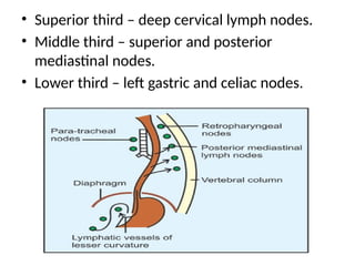 LESSON PLAN ON ANATOMY AND PHYSIOLOGY OF GASTROINTESTINAL SYSTEM.pptx