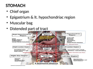 LESSON PLAN ON ANATOMY AND PHYSIOLOGY OF GASTROINTESTINAL SYSTEM.pptx