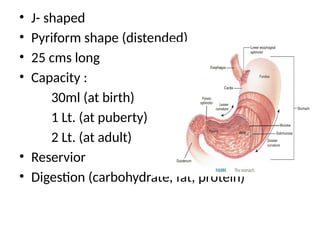 LESSON PLAN ON ANATOMY AND PHYSIOLOGY OF GASTROINTESTINAL SYSTEM.pptx
