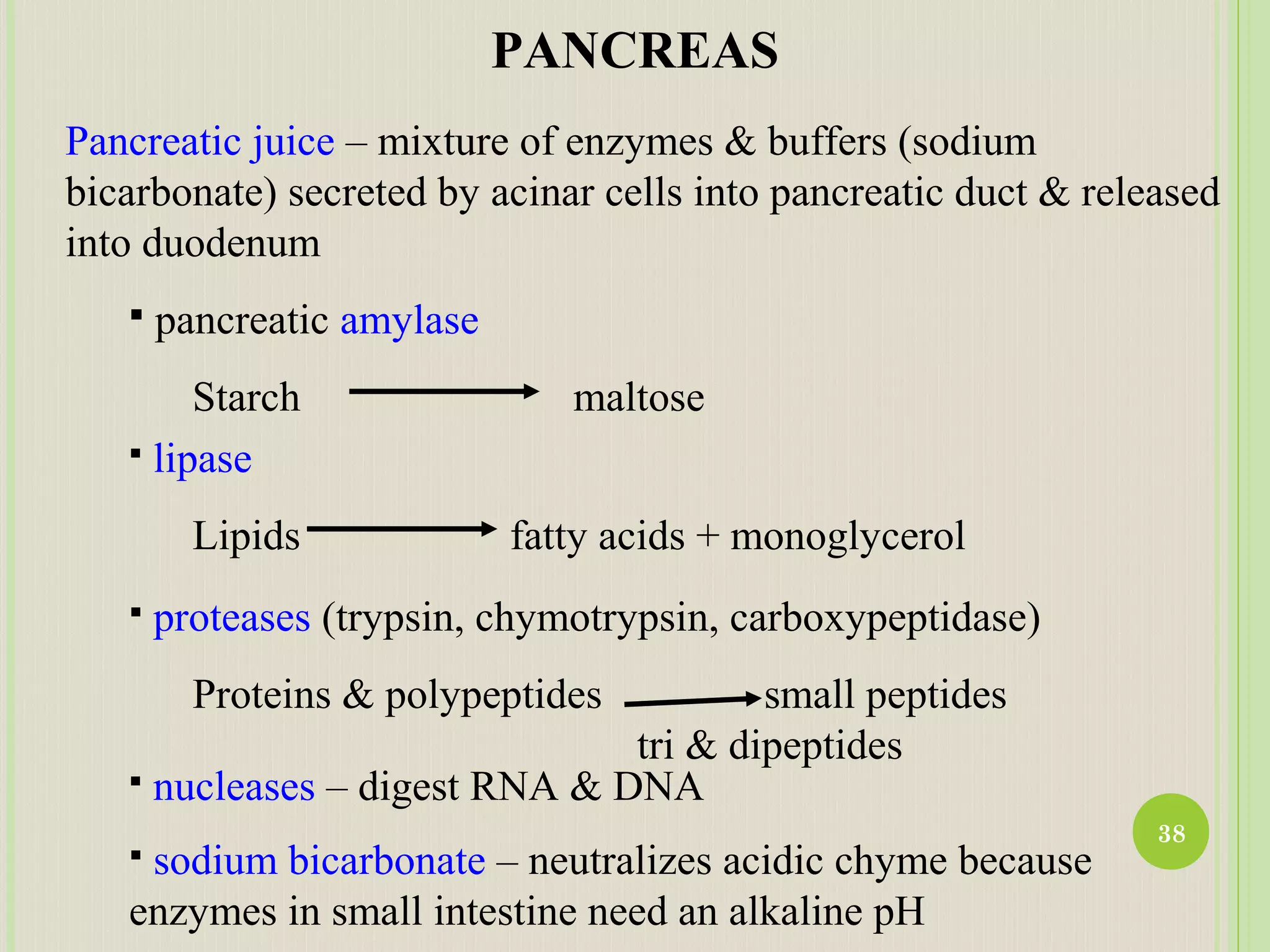 Anatomy and Physiology of GI Tract | PPT